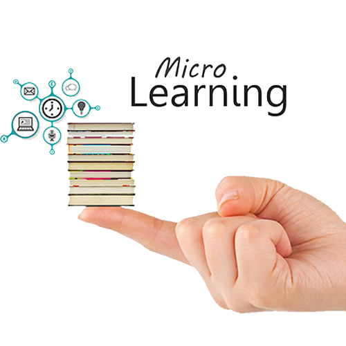Codex Learning – codexeducation